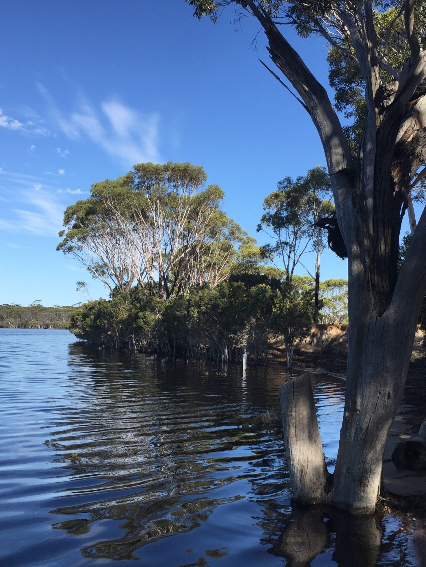 Lake Bryde Monitoring Rationalisation Project - Hyd2o